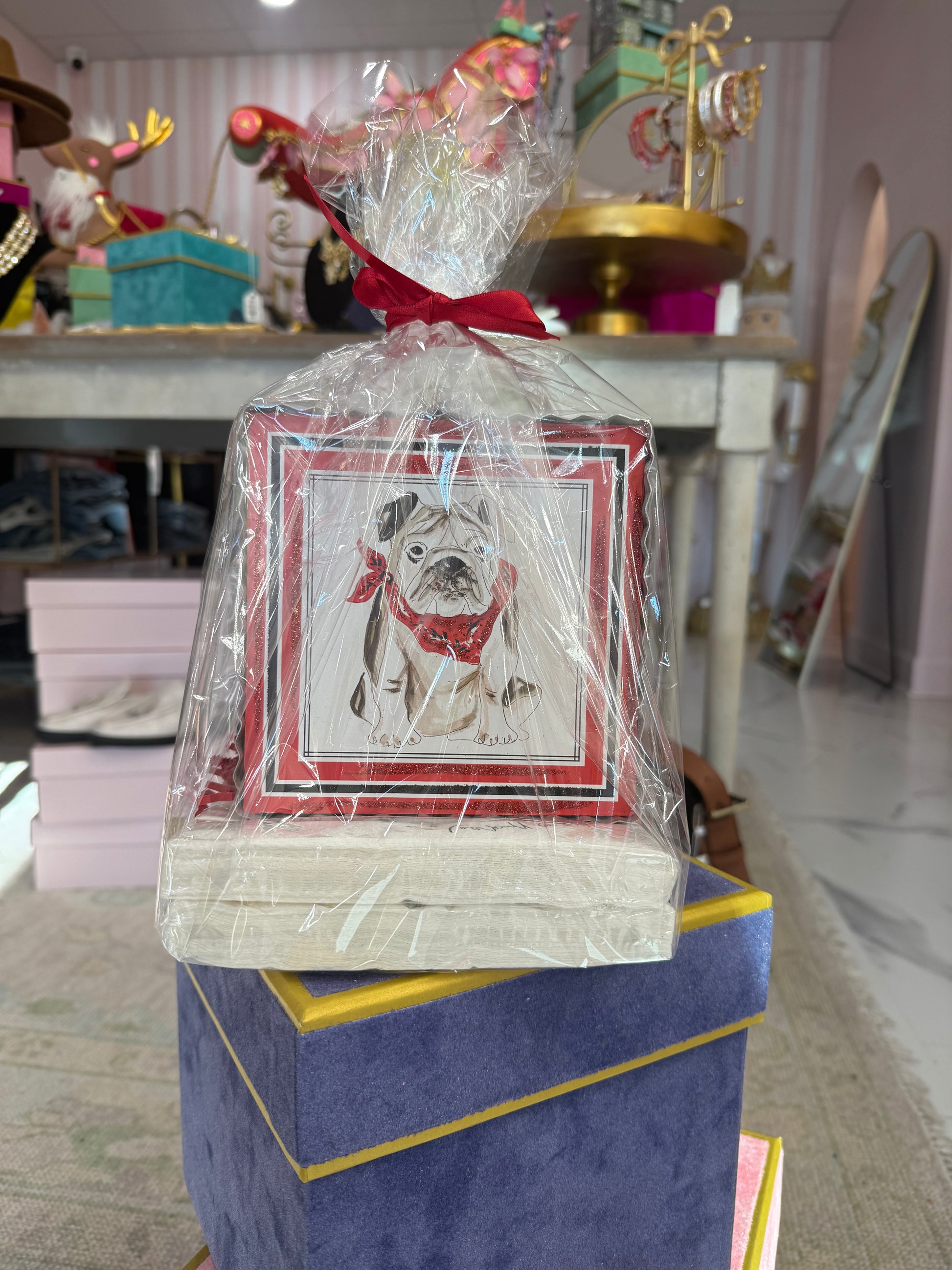 Ultimate UGA Fan Hostess Gift – Natalie Grace